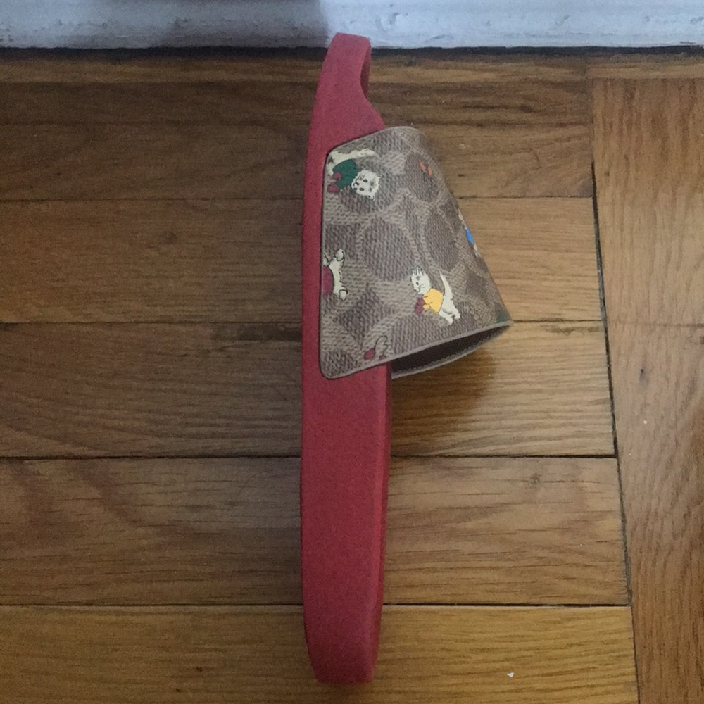 Coach Udele Printed Signature Slide - Gem